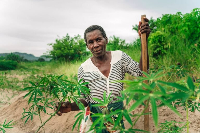 Malawi - Capital, Population, Economy & Culture - Countrypedia Online