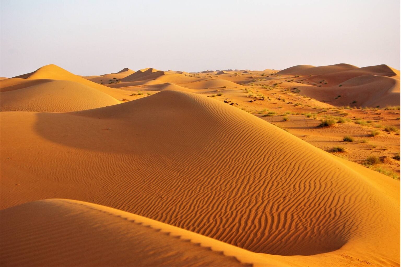 Oman Country Profile - Countrypedia Online